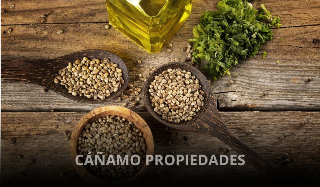 Cáñamo propiedades | Descubre todo sobre esta planta versátil ...